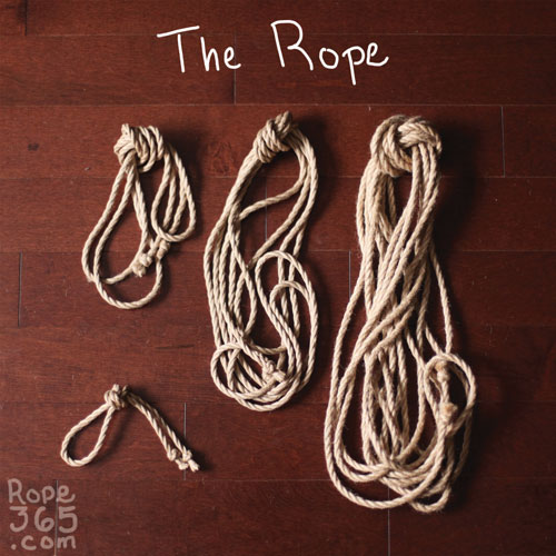 Spring - Classics & Fundamentals - Rope 365