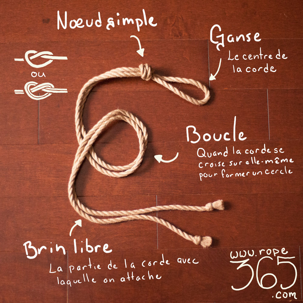 Débuter avec la corde - Corde 365